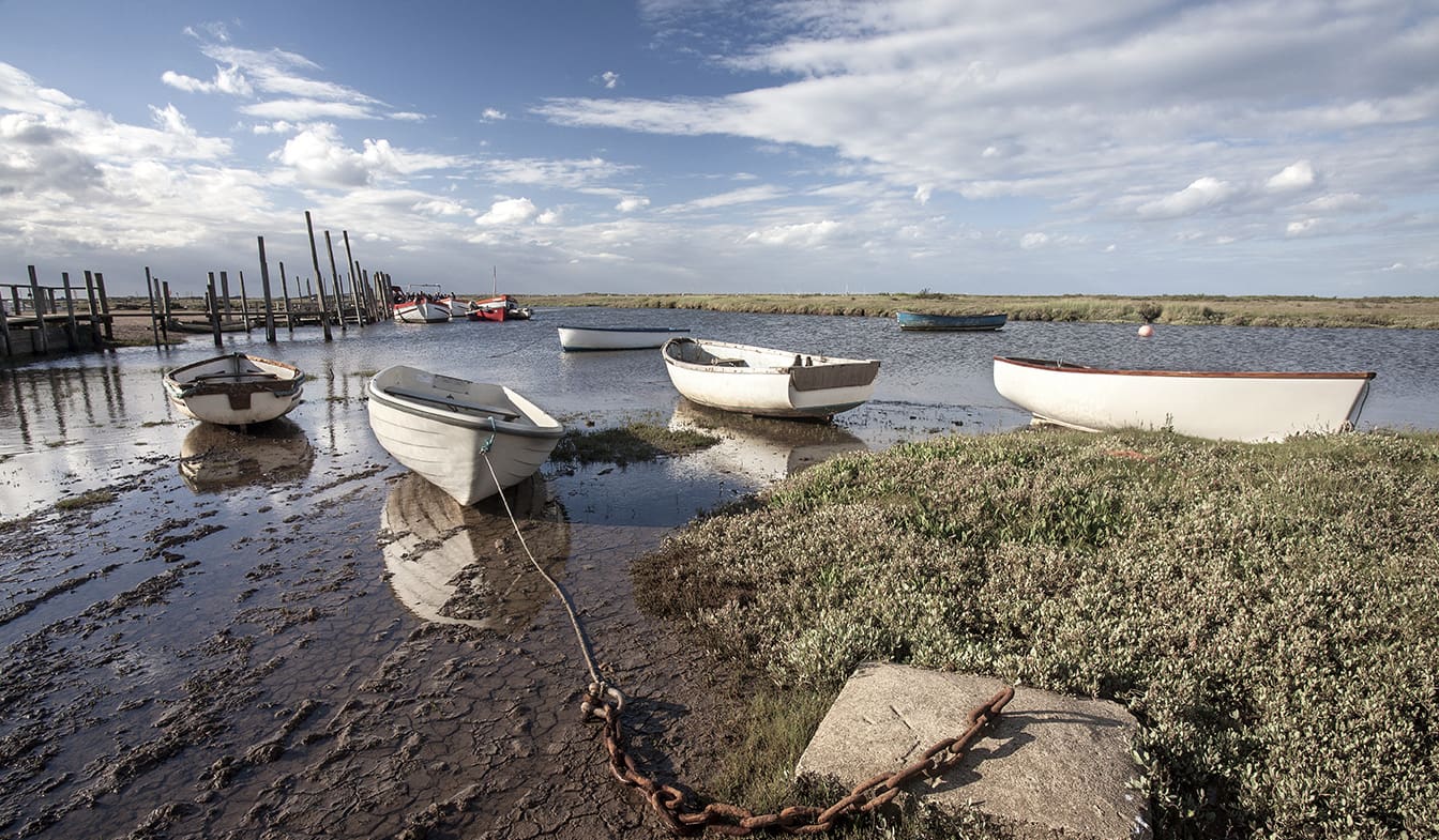 SEAL TRIPS FROM MORSTON QUAY | The Harper Hotel